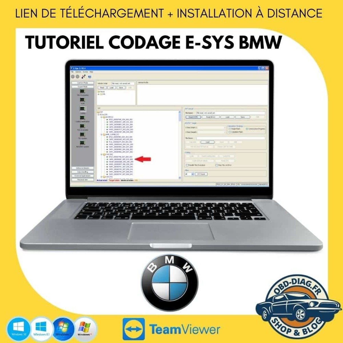 TUTO CODAGE E-SYS BMW - TÉLÉCHARGEMENT - OBD-Diag : Le Diagnostic Auto ...